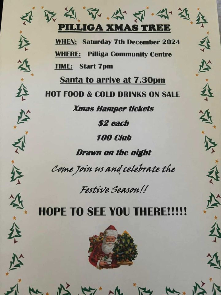 Pilliga Christmas Tree - Explore Narrabri Region